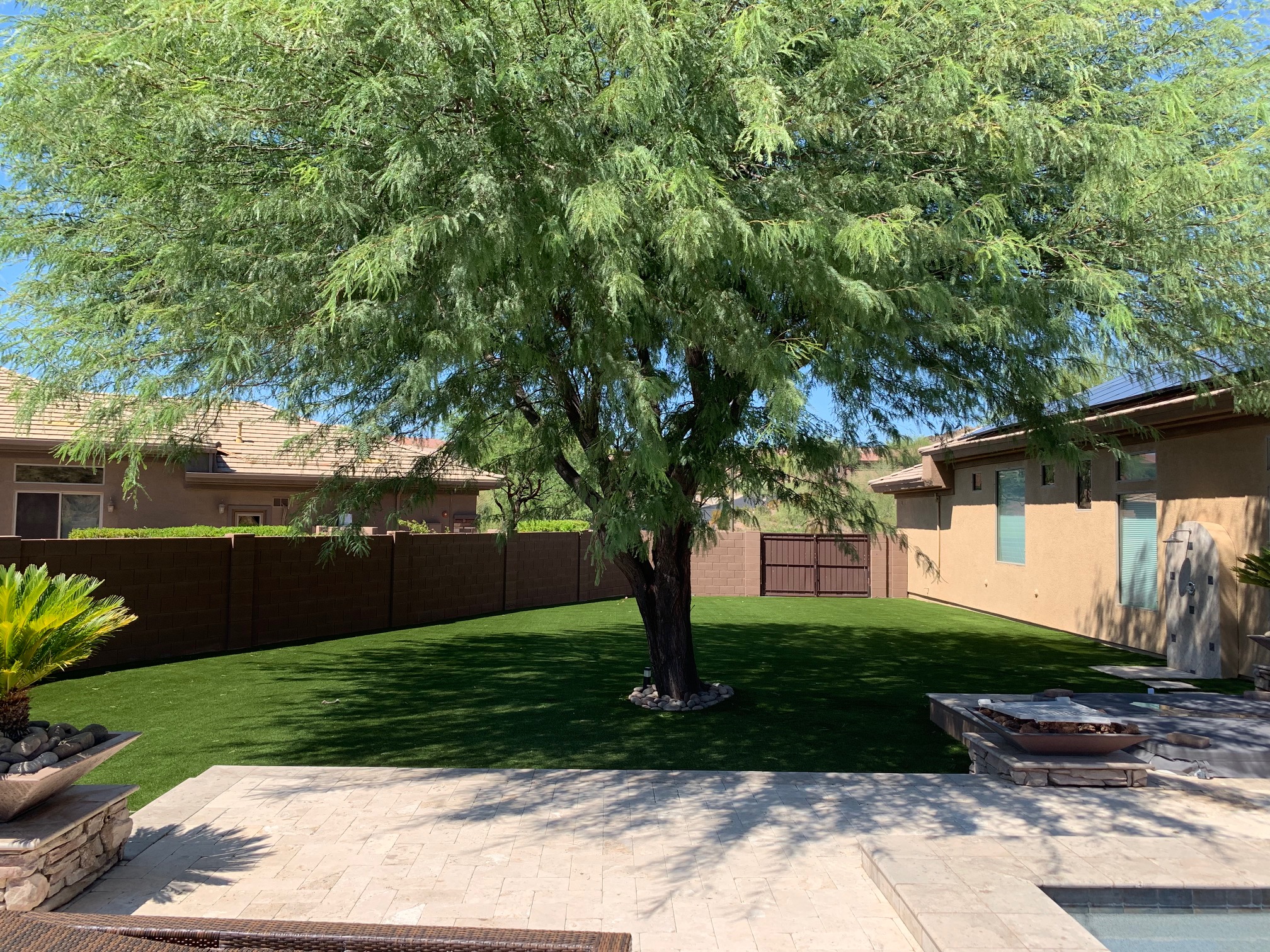 Gallery Full Width - Artificial Grass Arizona